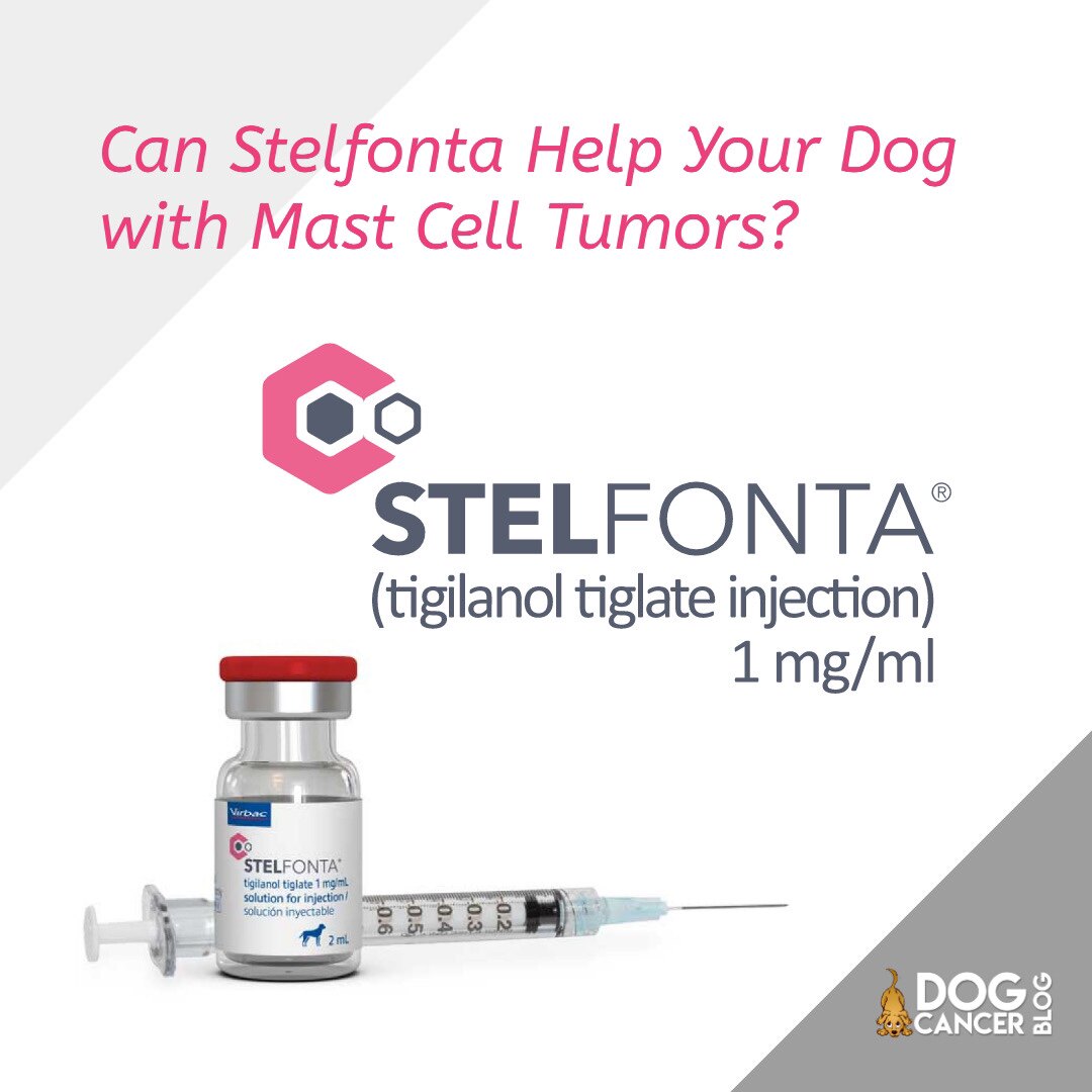 法国维克STELFONTA赛芳塔：宠物犬的皮肤肿瘤守护者，让爱宠远离病痛折磨！-狗特色保健品-淘宝好物网