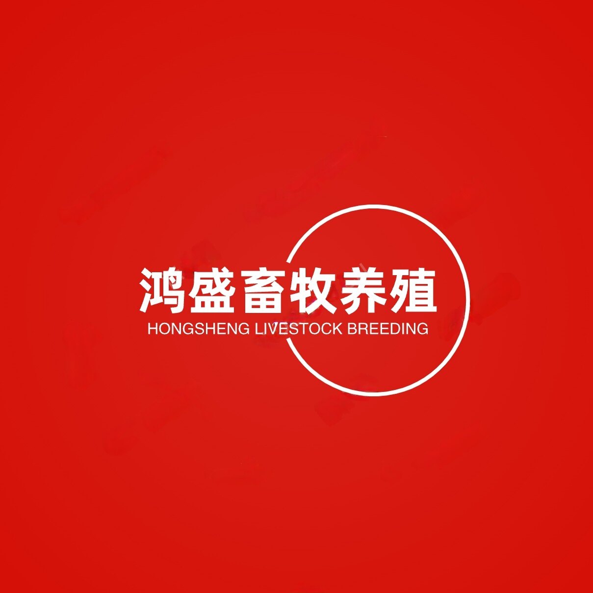 鸿盛畜牧养殖