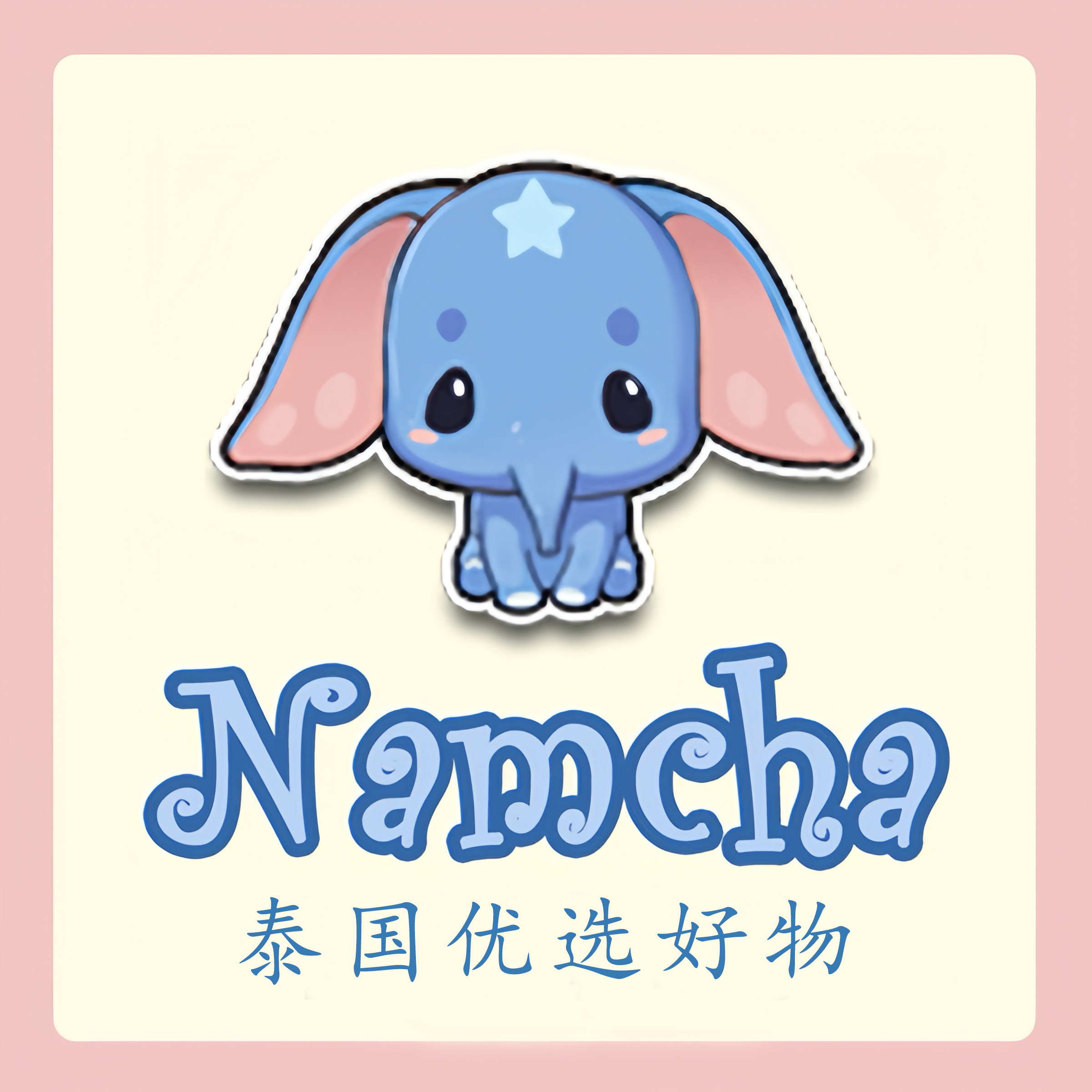 纯泰精选铺