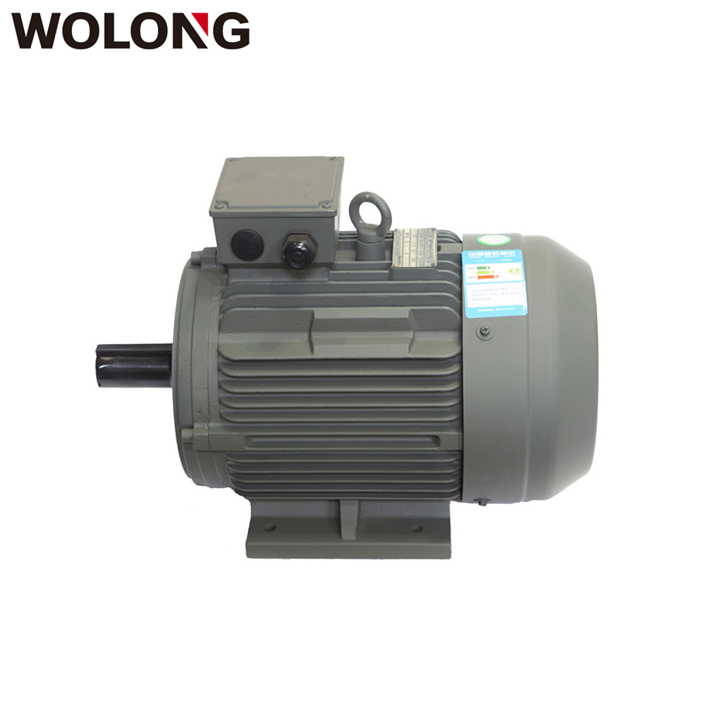 Wolong Electric YE3 series cast iron shell ultra-efficient three-phase asynchronous motor horizontal