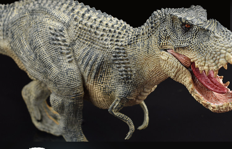 Solid spinosaurus tyrannosaurus rex plastic children's model