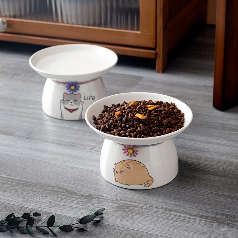 Let’s know about cat bowls, ceramic pet bowls, cats’ exclusive food ...