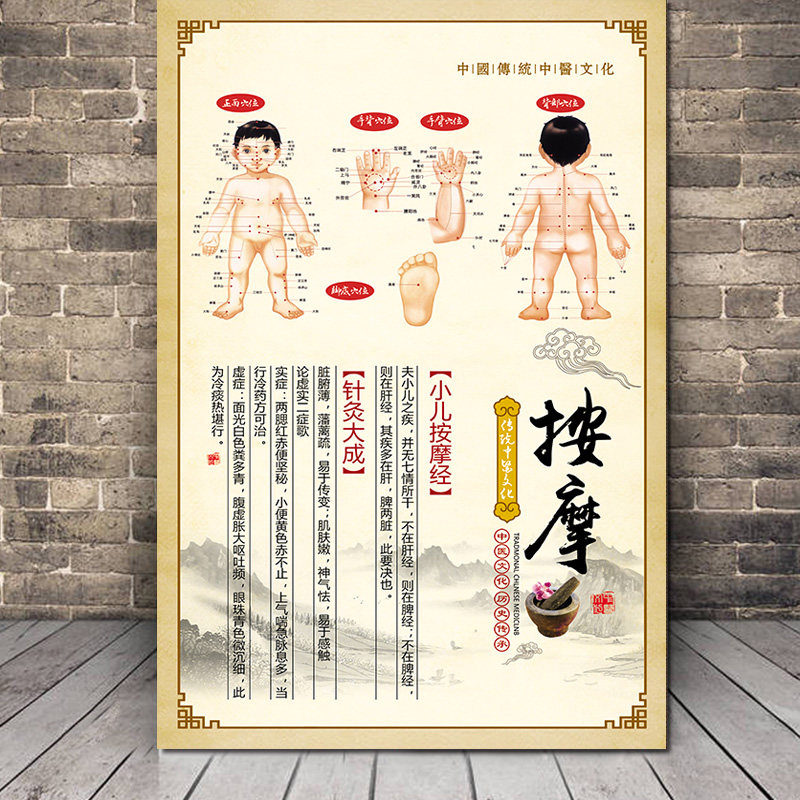 [USD 8.35] The standard wall chart of the human body pass through the ...