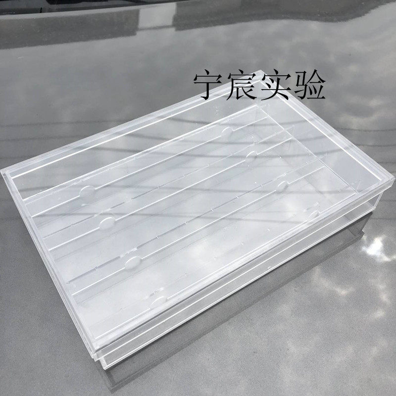 20片亚克力 透明湿盒 黑色避光湿盒 玻片湿盒 免疫组化湿盒 可定