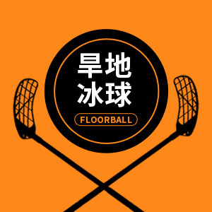 旱地冰球软式曲棍球精选联盟