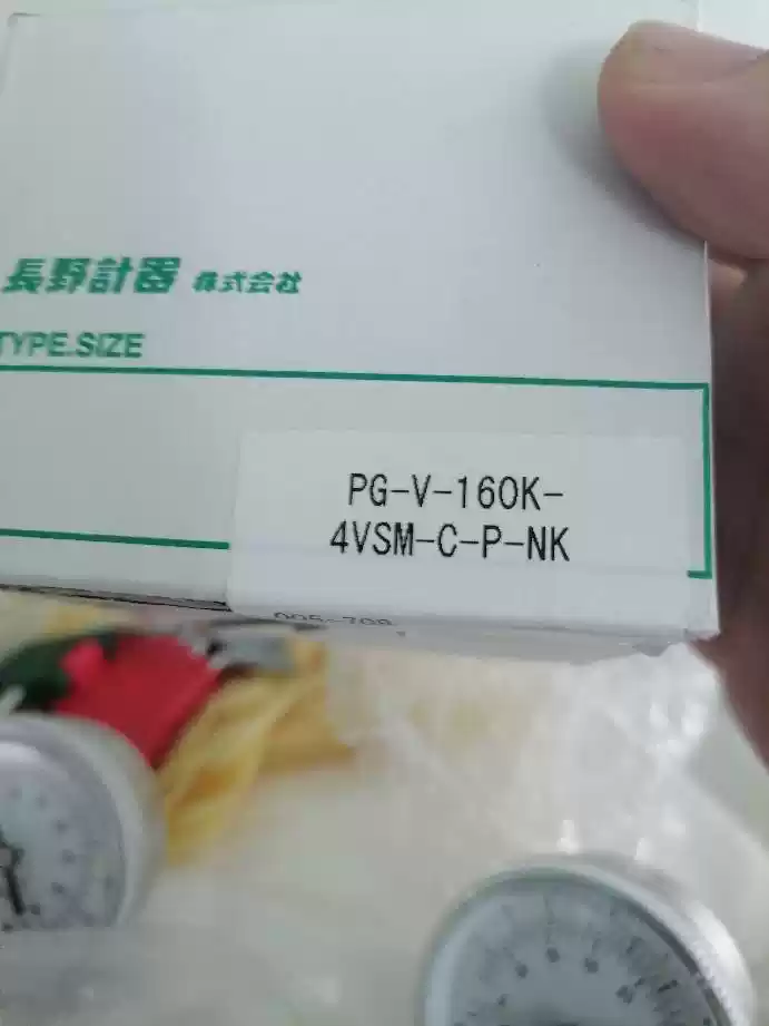 NKS长野特气压力表 PG-V-160K 工业压力测量仪表