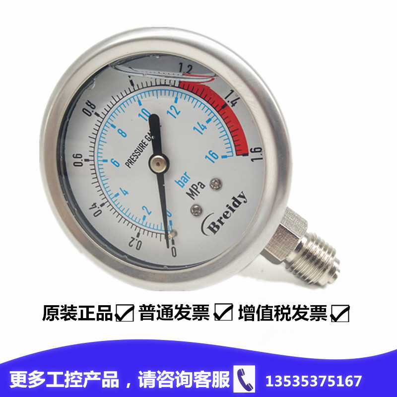 Breidy Seismic Pressure Gauge YN60 Oil Pressure Gauge YN-60 0 6 1 6 2 5 10 16 25 40MPA