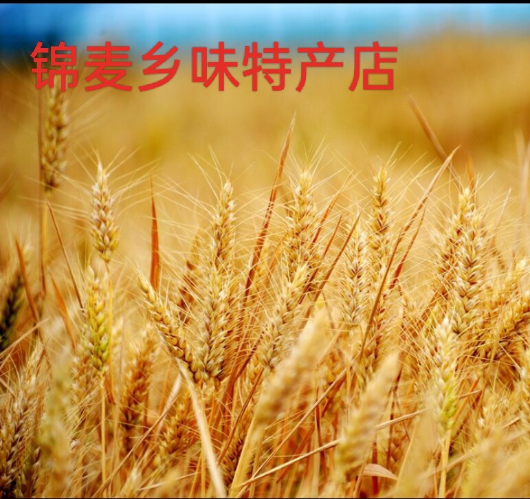 锦宝麦乡味特产