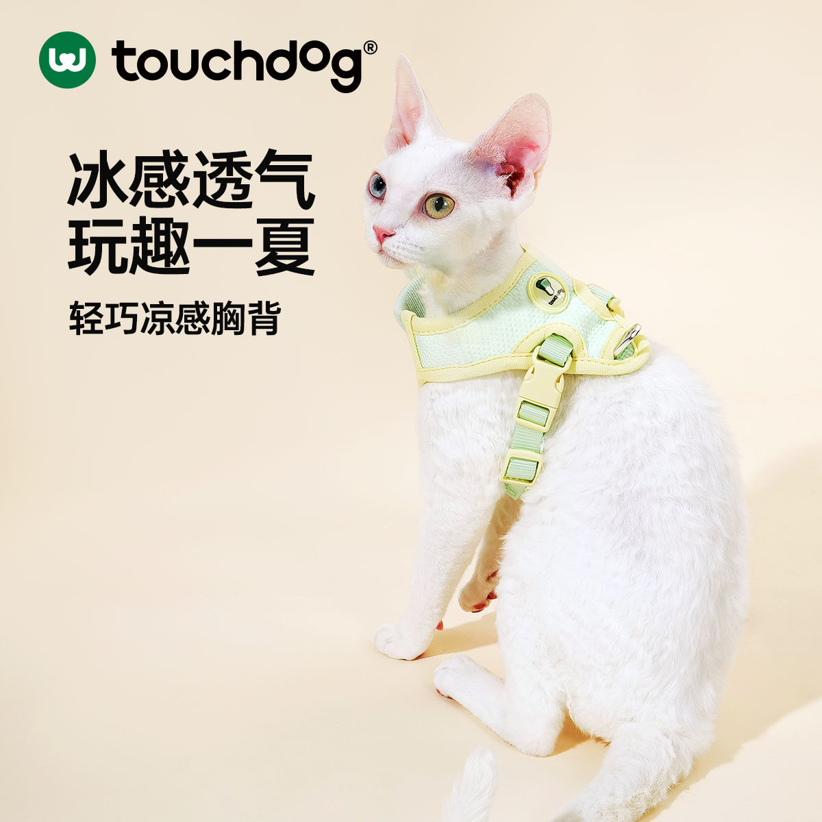 🌟 Easy cat walking, touchdog cat harness and leash make pets safer! 🐾