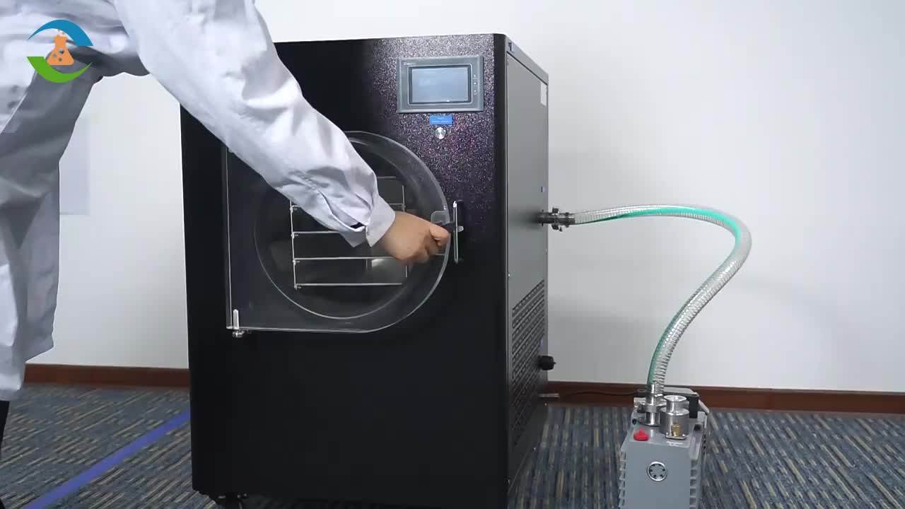 Mini Small Freeze Drying Machine Large Food Vegetable Fruit Home ...