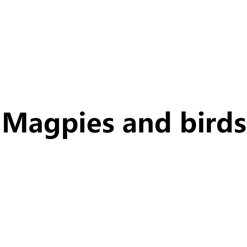Magpies and birds