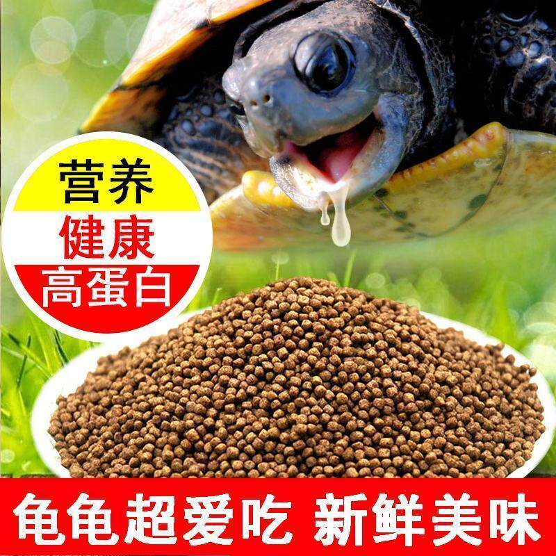 Top turtle food recommendations of 2025 | high-protein feed ...