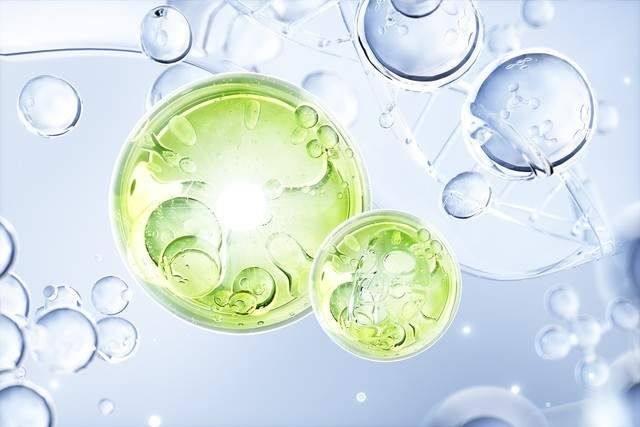 2025女士洗面奶排行榜前10名权威推荐！成分功效口碑全方位拆解 - 实用经验 - 淘江湖