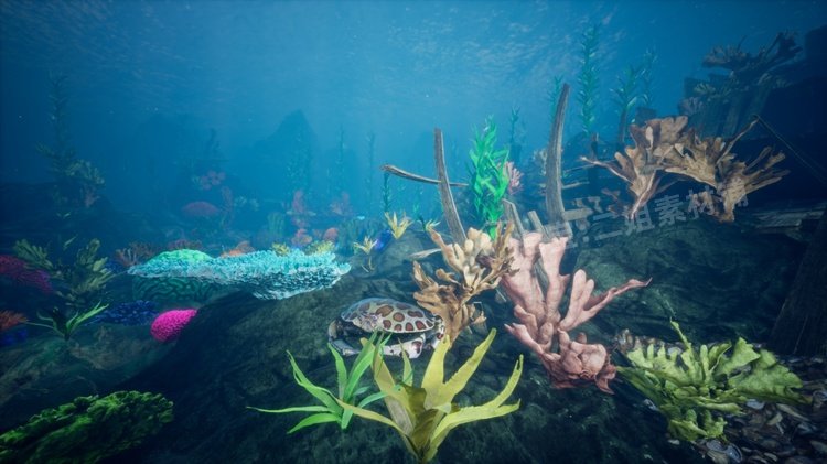 Ocean Environment Pack 2 – Coral Reef海洋环境包珊瑚礁UE5模型-cg男孩