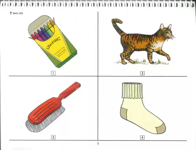 PPVT皮勃特图片词汇测试 亚克力认知卡片 中国修订版词汇卡 七田式教育玩具