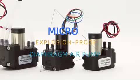 Explosion Proof Low Pressure Mini Diaphragm Miniature Air Pump Portable ...