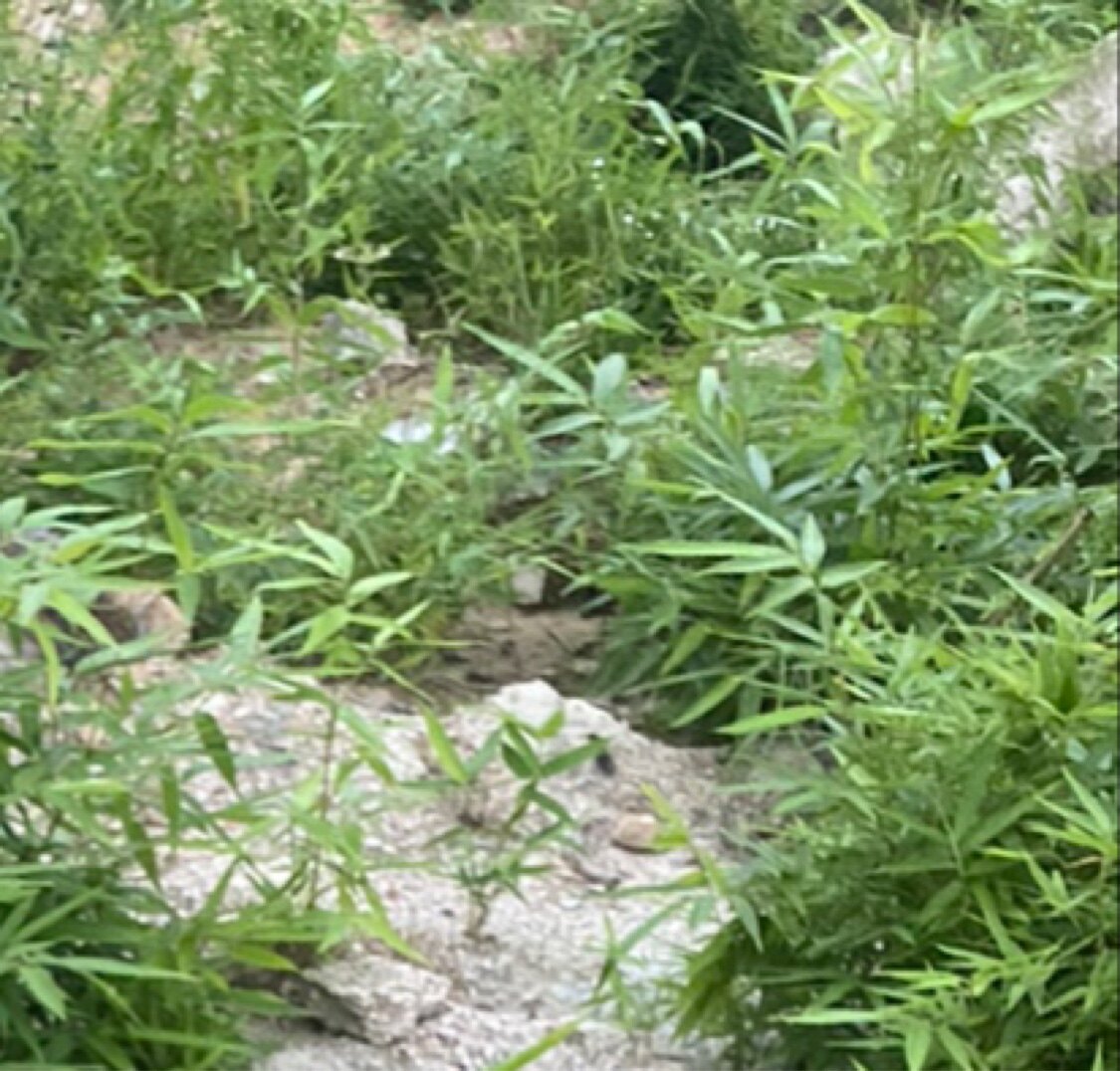 泉州发货