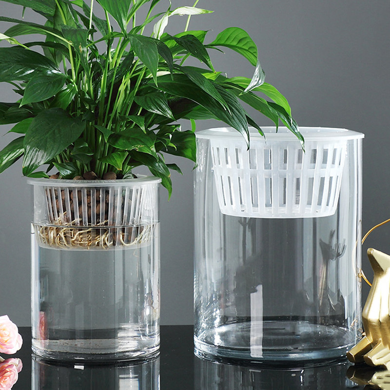 Hydroponic glass transparent thickened fish tank cylindrical vase ...