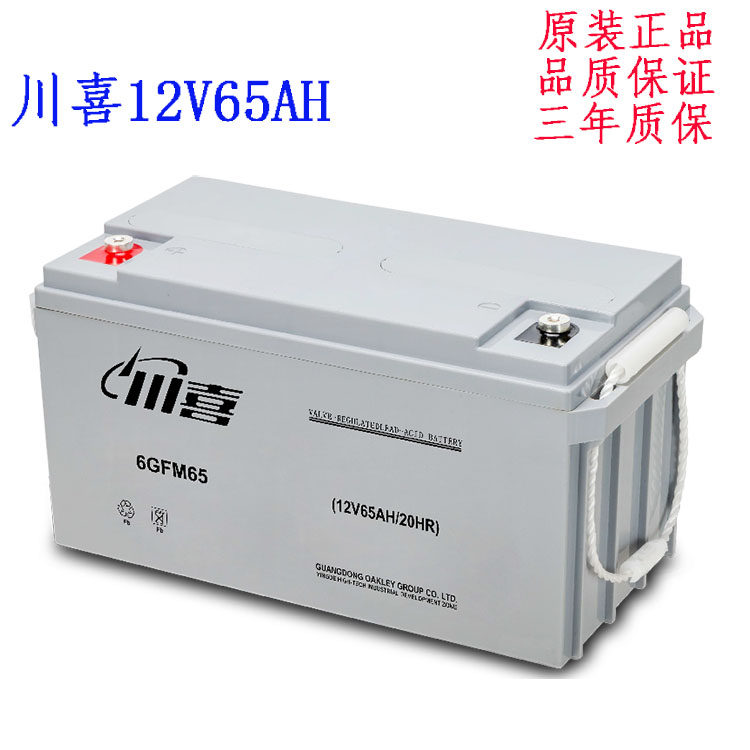 川喜12V65AH铅酸蓄电池，UPS不断电的秘密武器？🚀-UPS电源-淘宝好物网