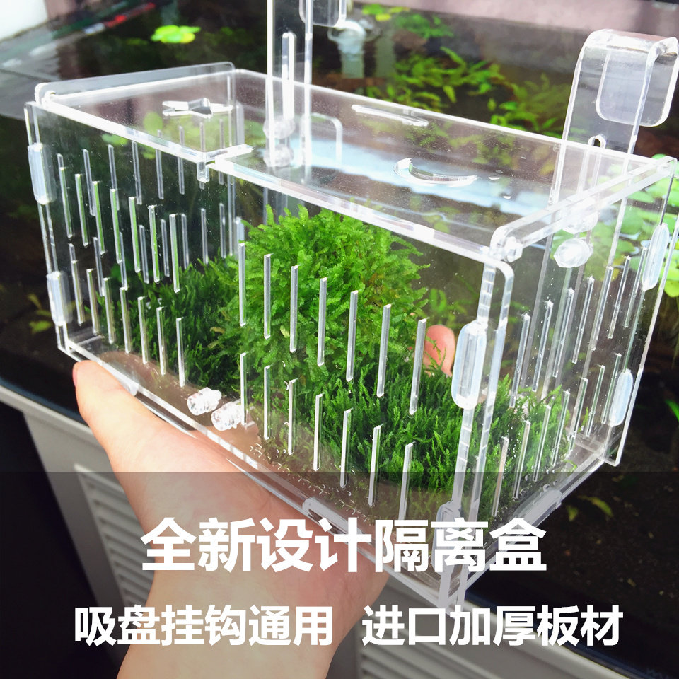 Buy Thick acrylic barrier box Crystal shrimp breeding box ornamental ...