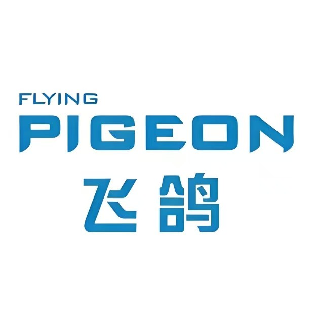 中国飞鸽单车工厂店