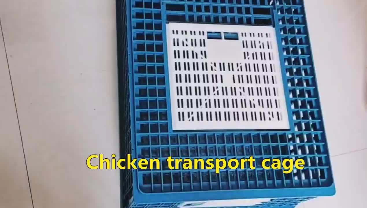 Poultry Carrier Crate For Chickens Placing Birds Or Small Animals ...