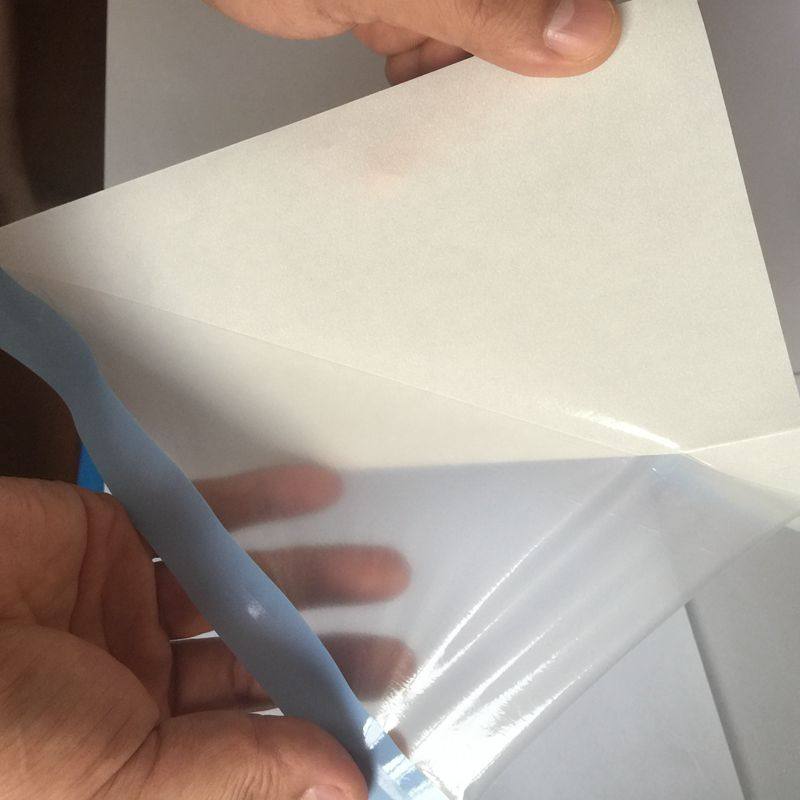 Peritoneal dialysis bathing film abdominal dialysis products protective ...