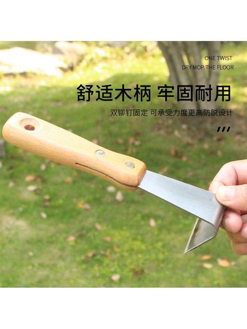Special knife for scraping bark scraping bark tool for scraping fruit ...