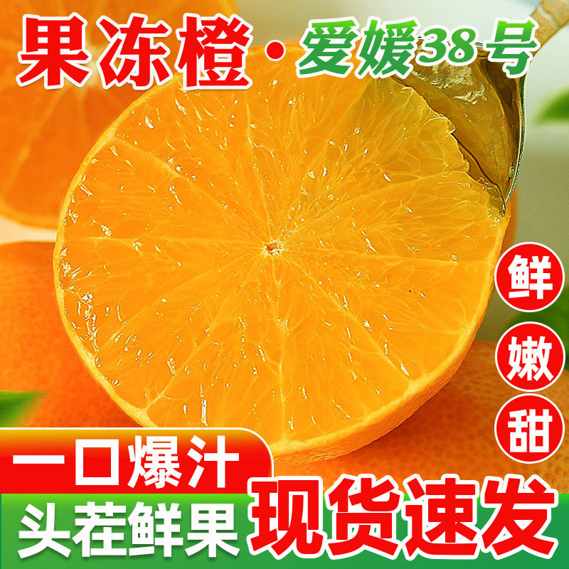 Authentic Ehime 38 jelly orange fruit fresh in season fresh pick orange ...