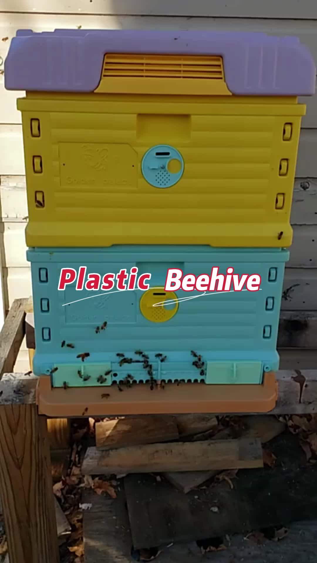 3 Layer Insulation Plastic Polystyrene Beehive 10 Frames Thermo Beehive ...