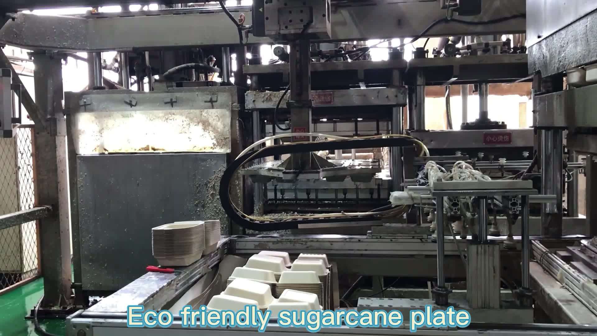 Food Grade Sugarcane Bagasse Disposable Plates Sugar Cane Paper Pulp ...