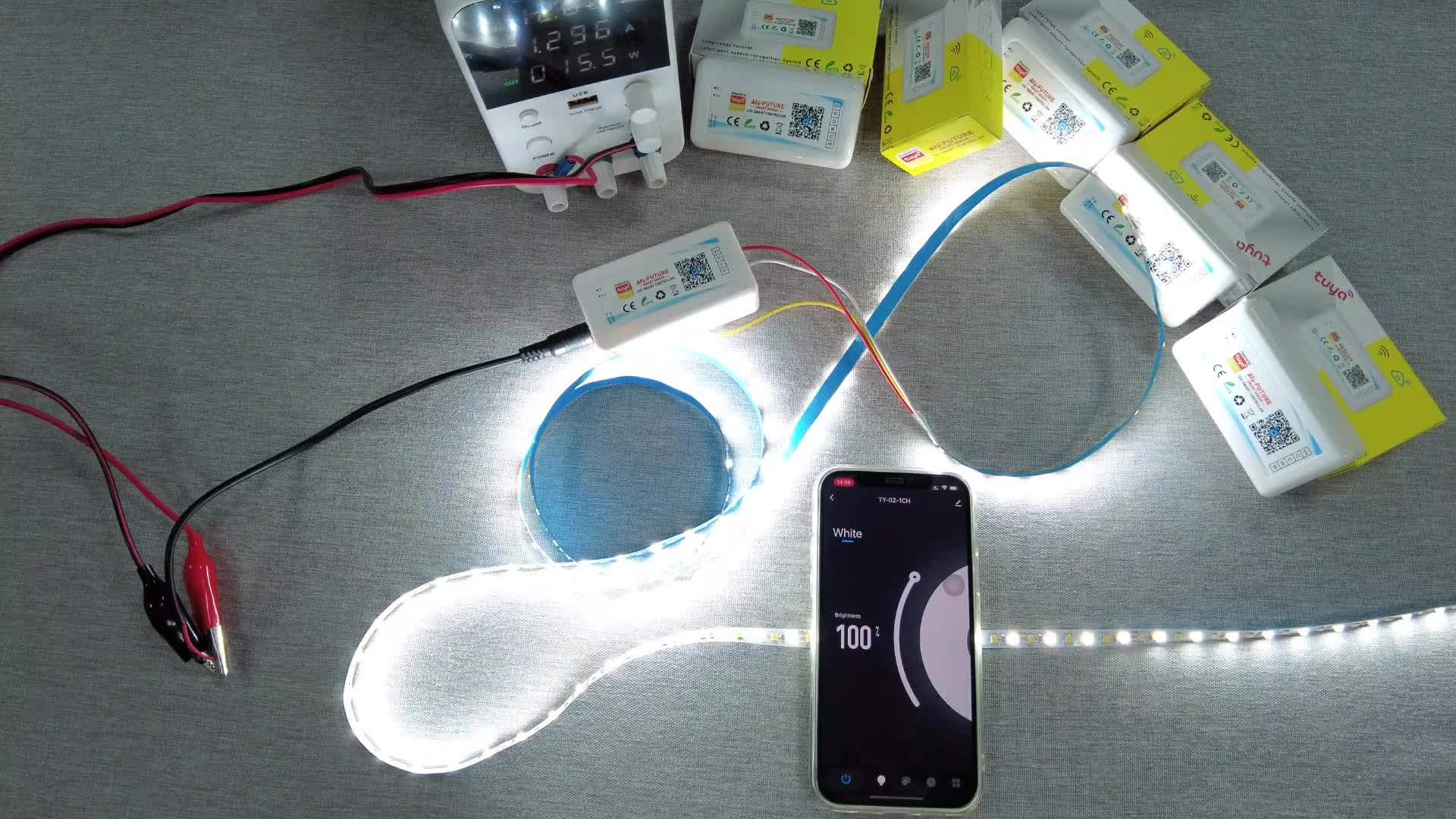 Tuya Wifi Smart Life Led Controller Ce Rohs Dc5-24v Voice Amzazon ...