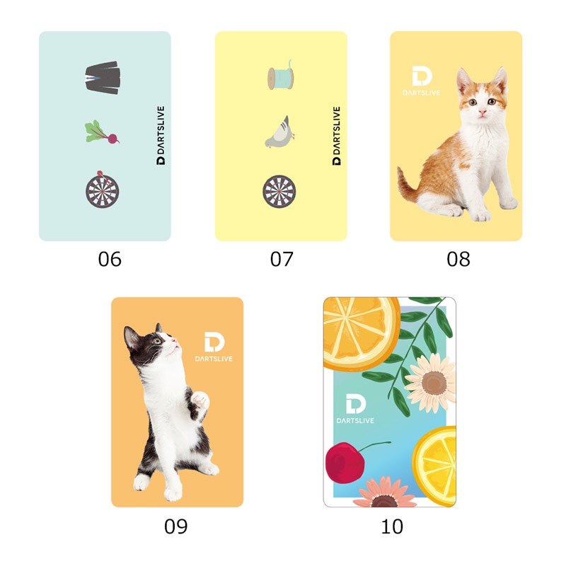【DARTSLIVE CARD】2022年度飞镖爱好者的必备神器，你还在等什么？-更多飞镖配件-淘宝好物网