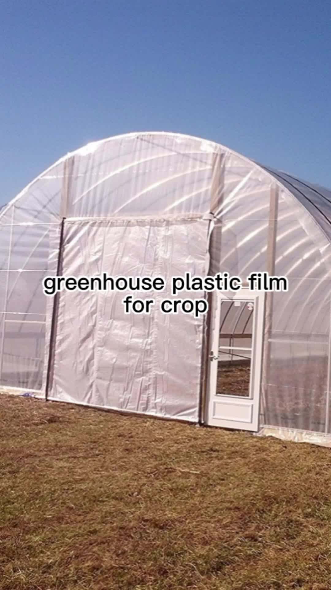 Anti Condensate Anti Fog Sun Control Vegetables Nursery Greenhouse ...