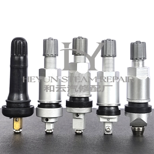 適用寶駿RM5 RM7 RS5 RS3 RS6 RS7 360胎壓監測感測器氣門嘴 氣嘴-Taobao