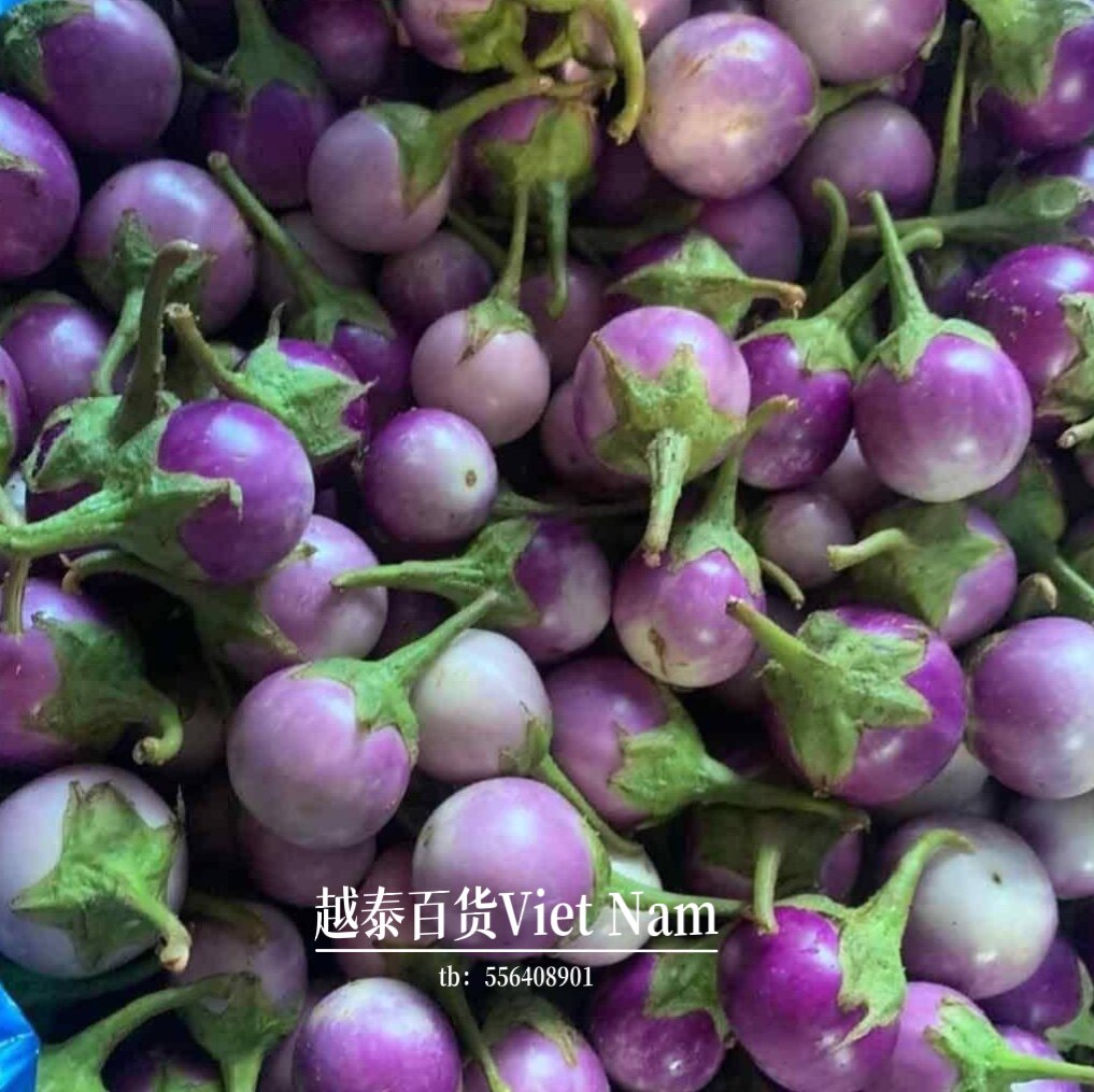 新鲜小圆茄ca phao tim：解锁泰式美味的秘密食材！-茄子-淘宝百科网