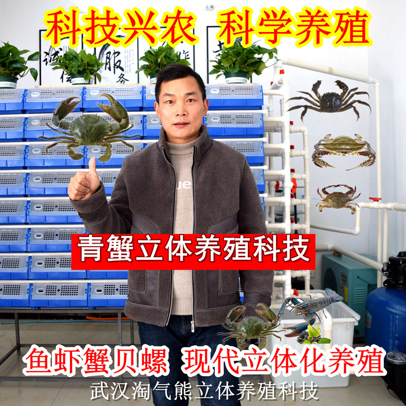 🔥 A new revolution in indoor crab farming! blue crab indoor stereo ...