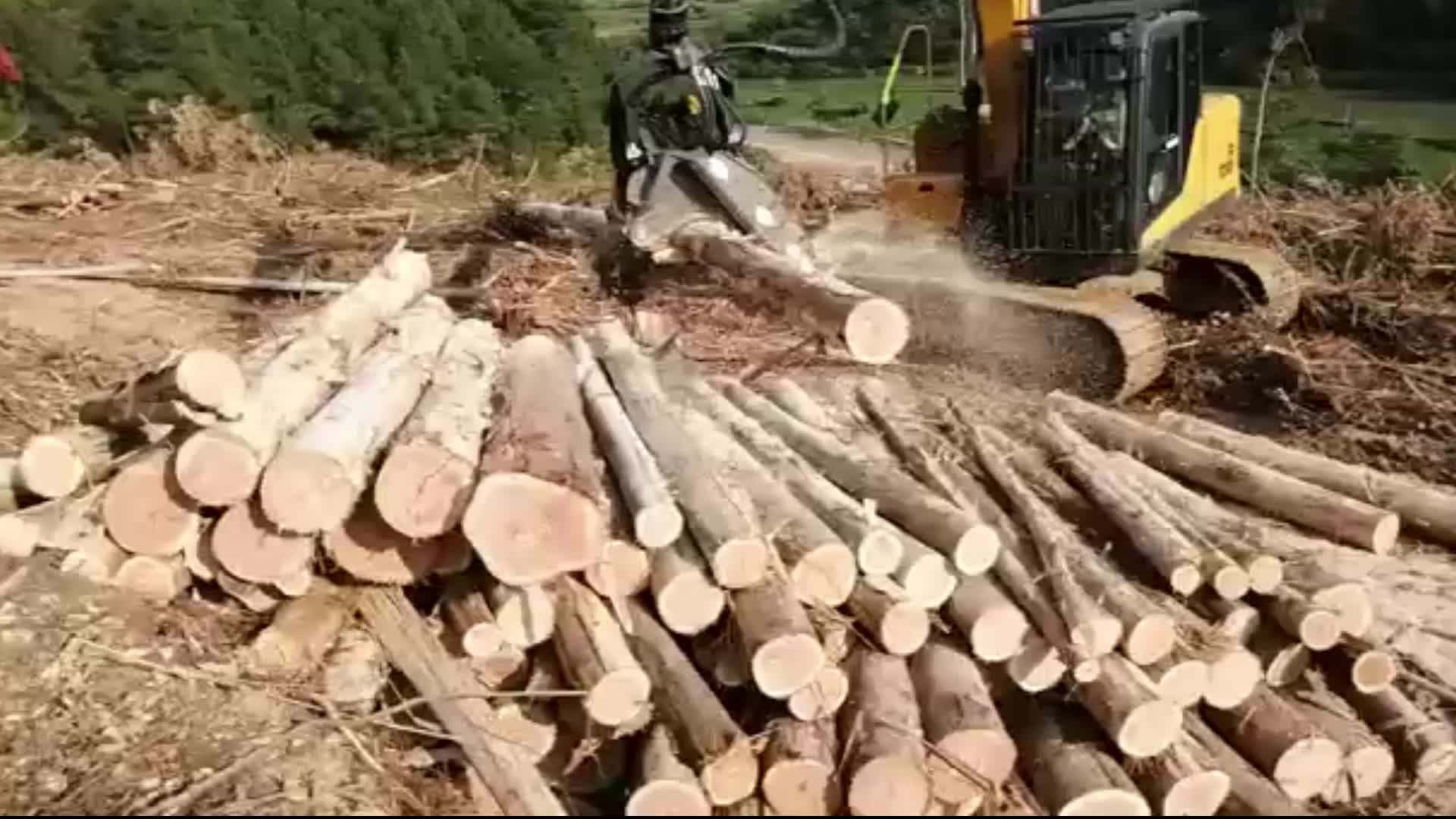 20 Tons Excavator China Harvester Head With Automatic Cutting Max ...