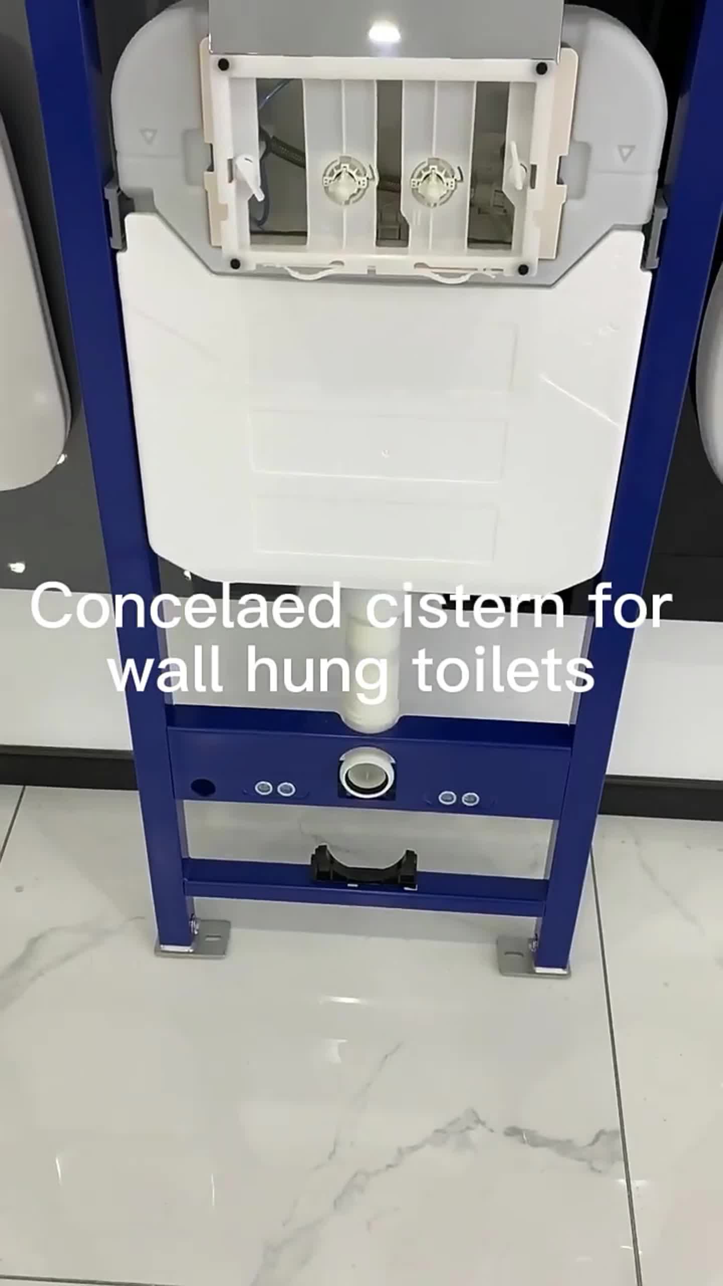 Dual Flush Concealed Cistern Hidden In Wall Hung Toilet Frame Water ...