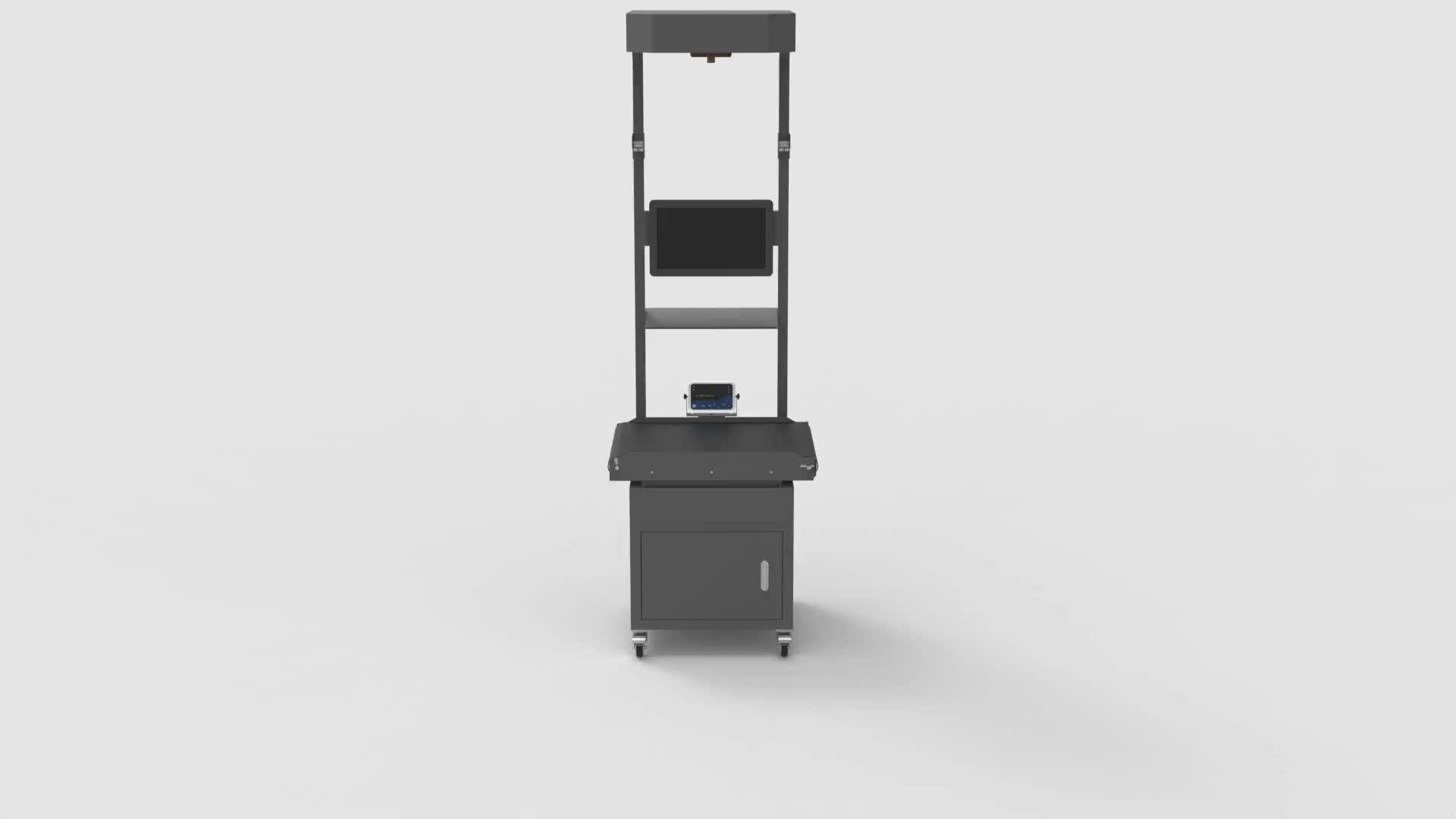 Monolithiot Customized Automatic Checkweigher Scale Table Static ...