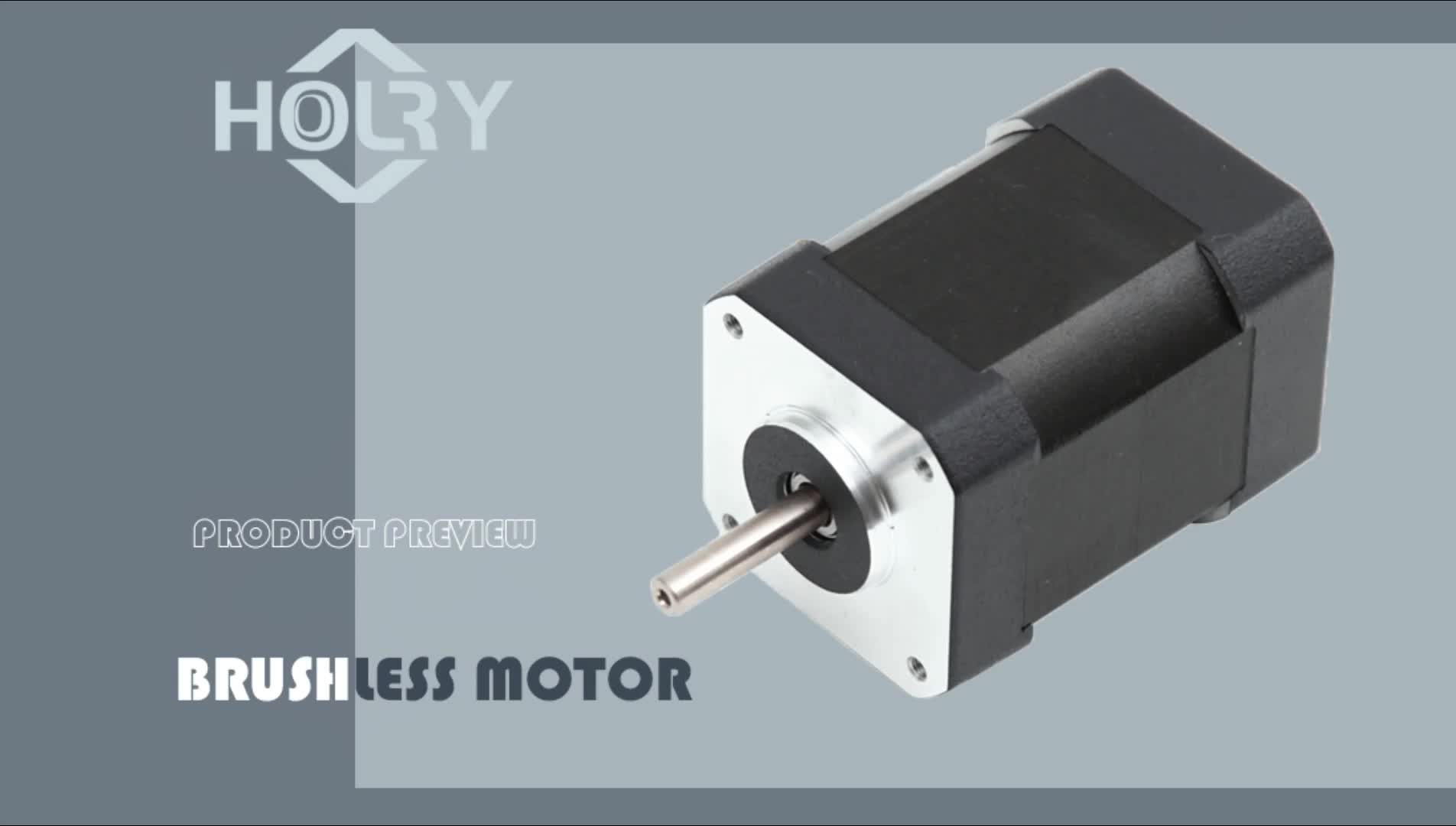 Holry Bldc Motor 24v 48v 3000rpm 100w 200w 300w 400w 60mm Brushless Dc Motors For Agv Car And ...