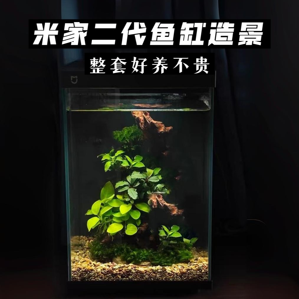 Xiao mi smart fish tank 2nd generation water plant package for ...