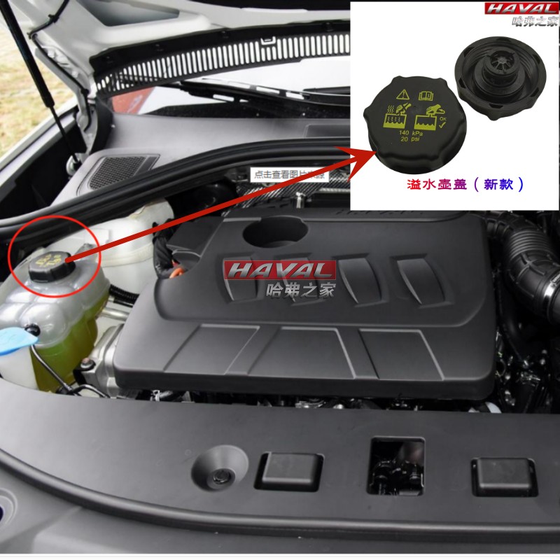 哈弗初恋H6/H9/H7大狗/VV6/VV7水箱盖，防冻液加水盖如何选？💖-散热器蓄水壶盖-淘宝好物网
