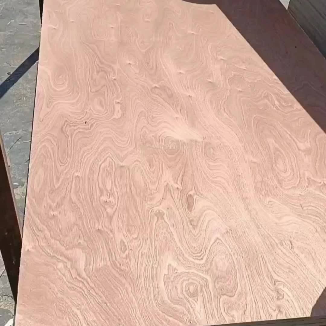 Bintangor Interior Door Skin Plywood / Triplay Okume 3mm 2.7mm Okoume ...