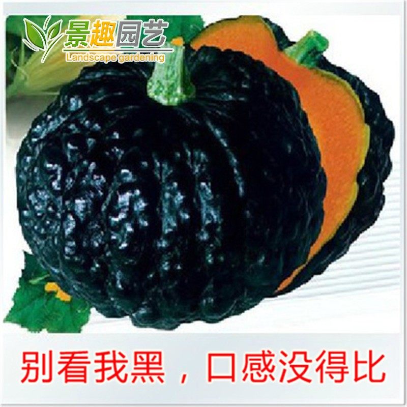 Beibei small pumpkin red chestnut honey seeds sweet honey red honey ...