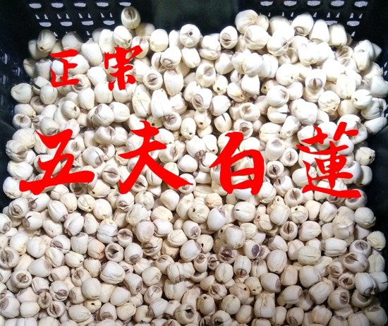 Wuyi Mountain Special Produce Five Fu White Lotus Seed Free From Core ...