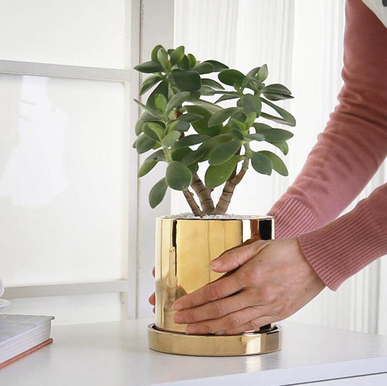 Nordic Plated Ceramic Flower Arrangement Round Vases Flower Pots Flower ...