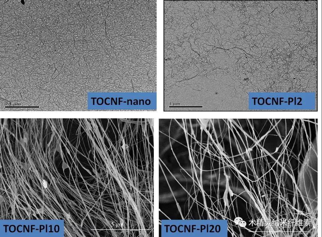 TOCNF-纳米纤维素是什么？它有哪些应用前景？-催化剂-淘宝好物网