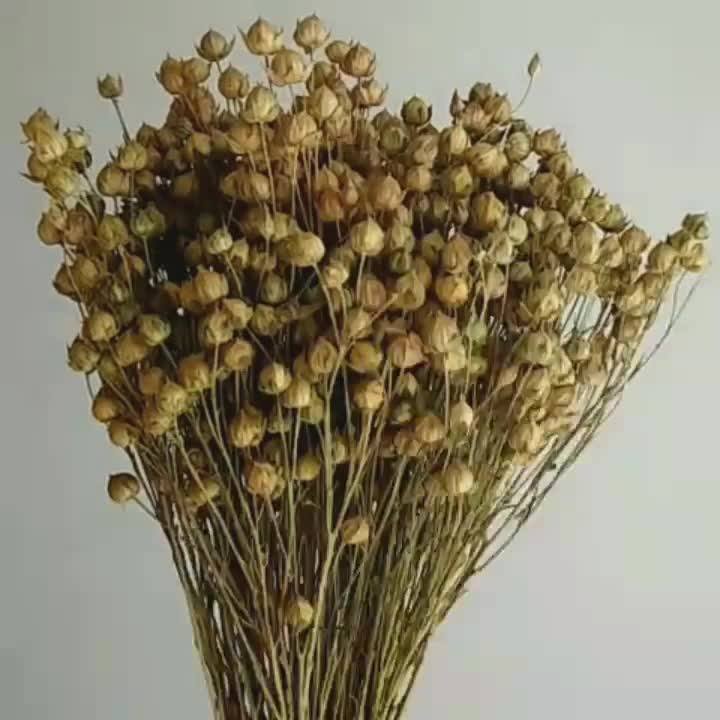 Natural Color Dried Flower Bouquet And Handicrafts 60cm Decorative ...
