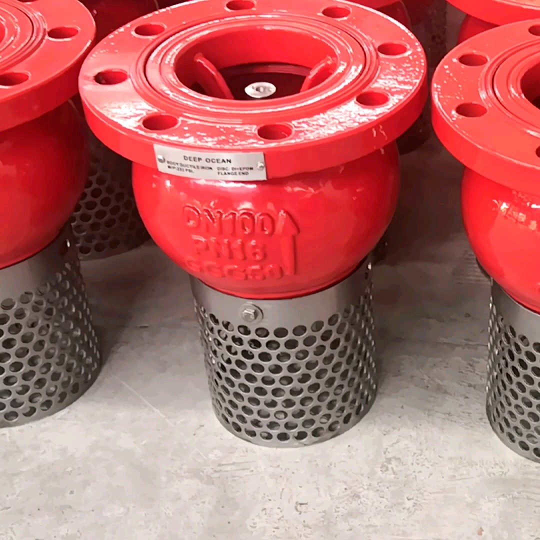 Cast Iron Foot Valve Spring 6 Inch Foot Valve - Buy 6 Inch Foot Valves ...